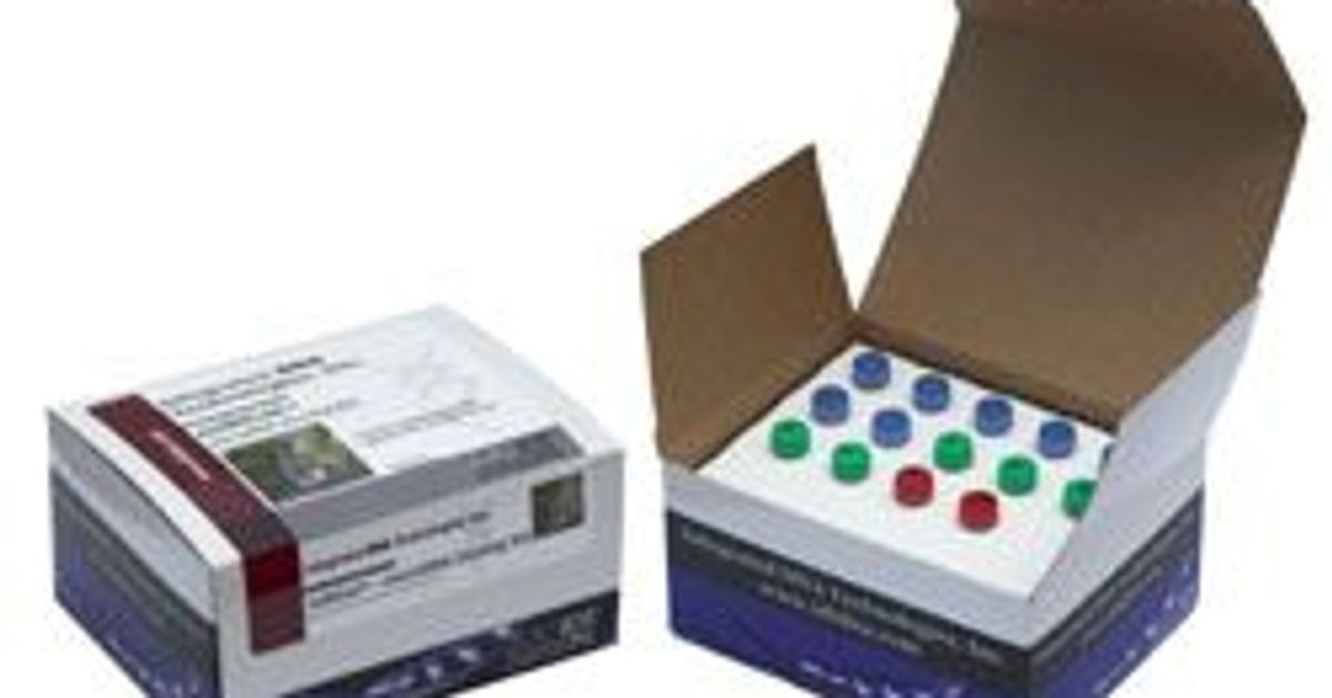 IDT Enhances miRCat Small RNA Cloning System