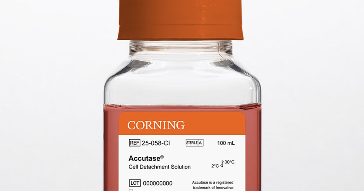 100 mL Accutase® Cell Detachment Solution, Liquid