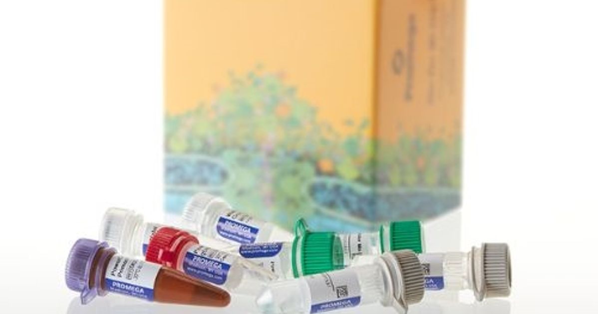 PowerQuant® System reviews