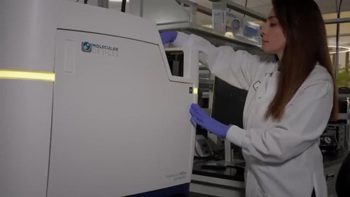 Discover the ImageXpress HCS.ai High-Content Screening System