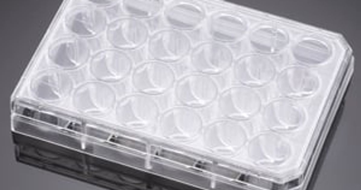 Falcon® 24-well TC-treated Cell Polystyrene Permeable Support Companion ...