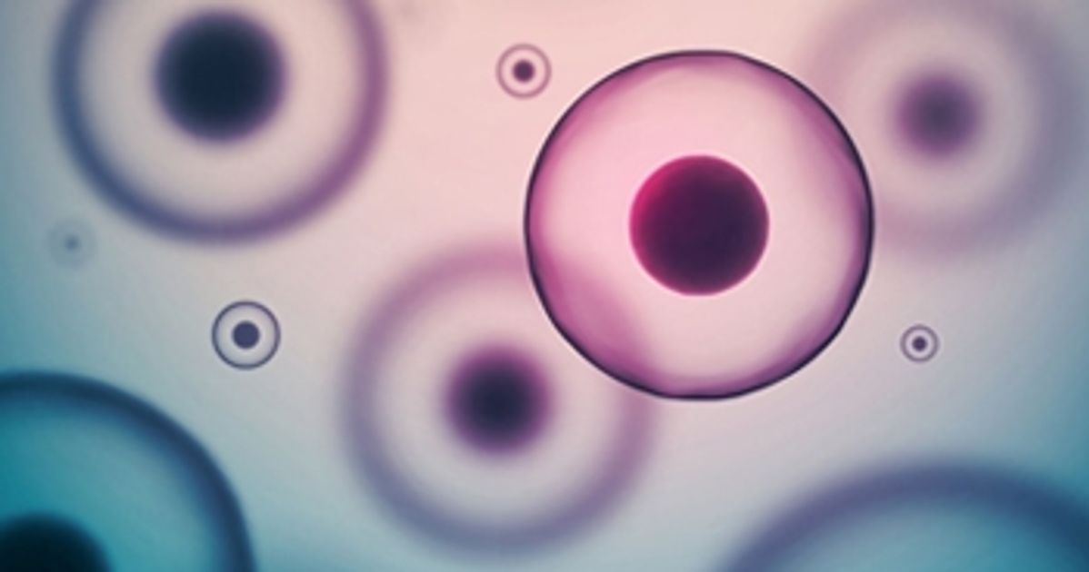 Ultimate guide to cell health assays