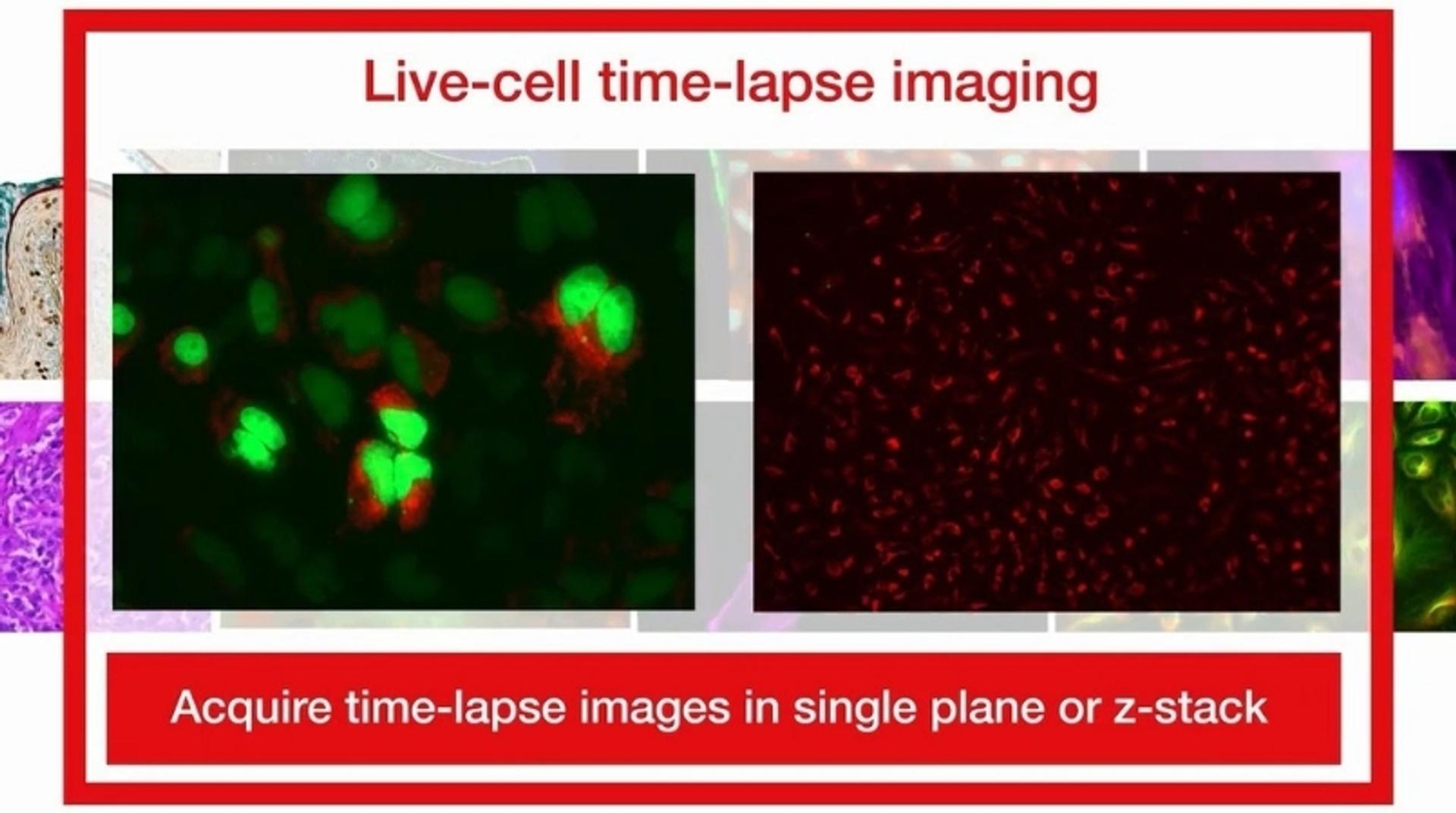 EVOS™ M7000 Imaging System by Thermo Fisher Scientific reviews
