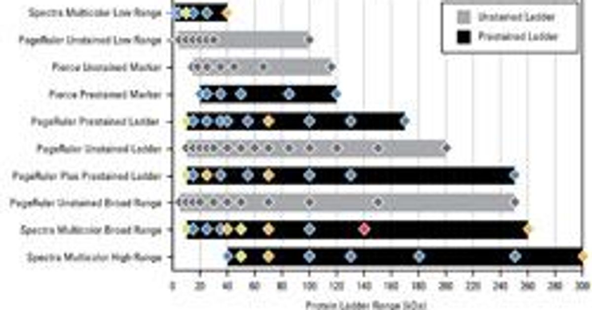 Thermo Fisher Scientific Introduces Family of Protein Molecular Weight ...