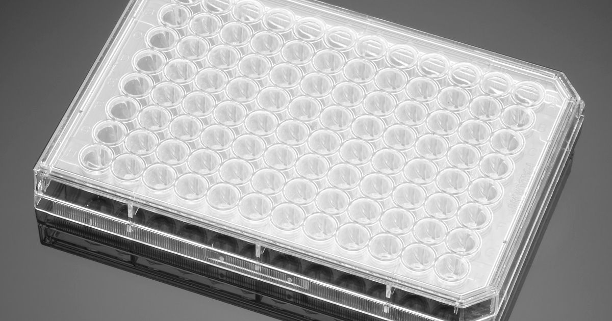 Buy Falcon® 96-well Clear Round Bottom Not Treated Microplate, with Lid ...