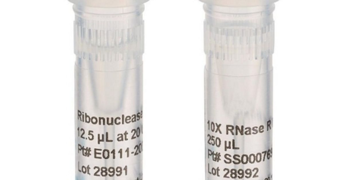 Ribonuclease R (RNase R) | SelectScience