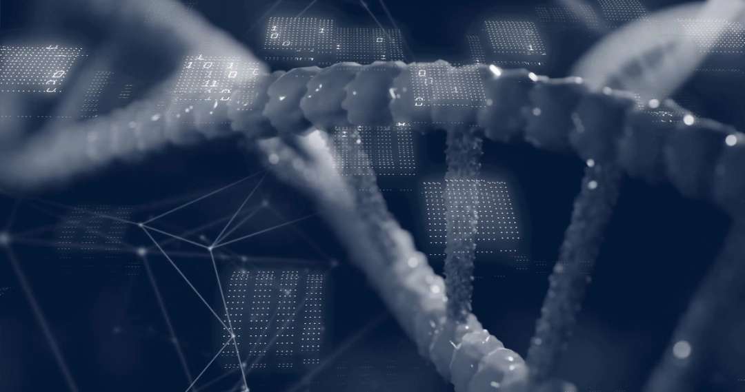 Digital Transformation in Drug Discovery