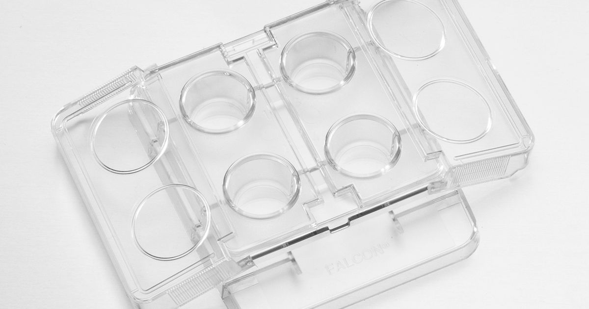 Falcon® 4-well TC-treated in vitro Fertilization (IVF) Plate