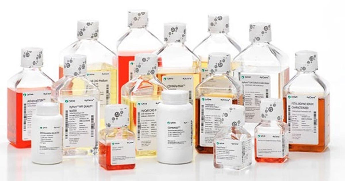Cell culture media and feeds | SelectScience