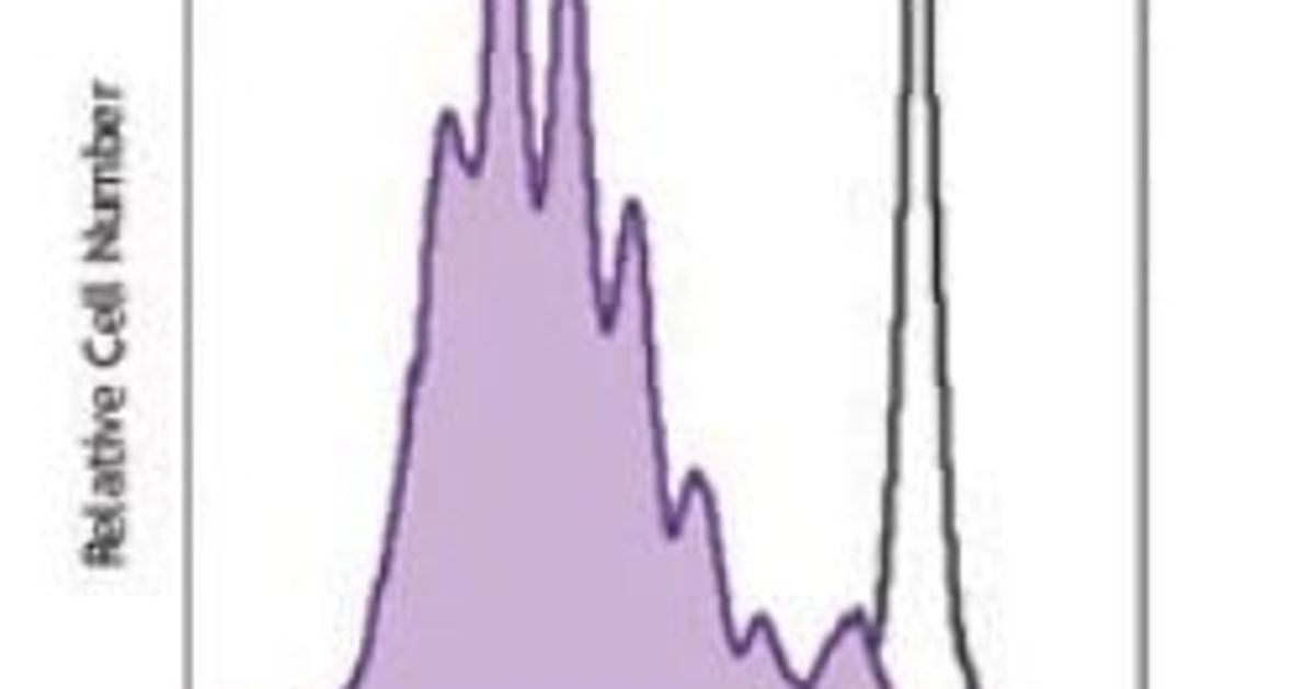CFSE Cell Division Tracker Kit | SelectScience