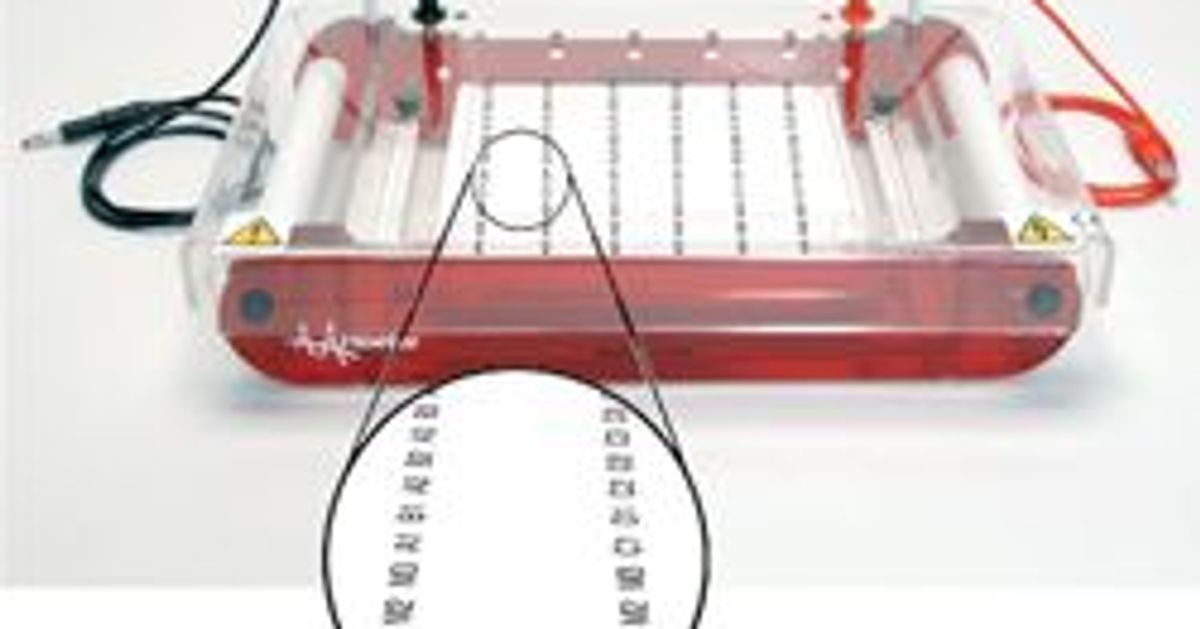 New High Throughput Gel Electrophoresis