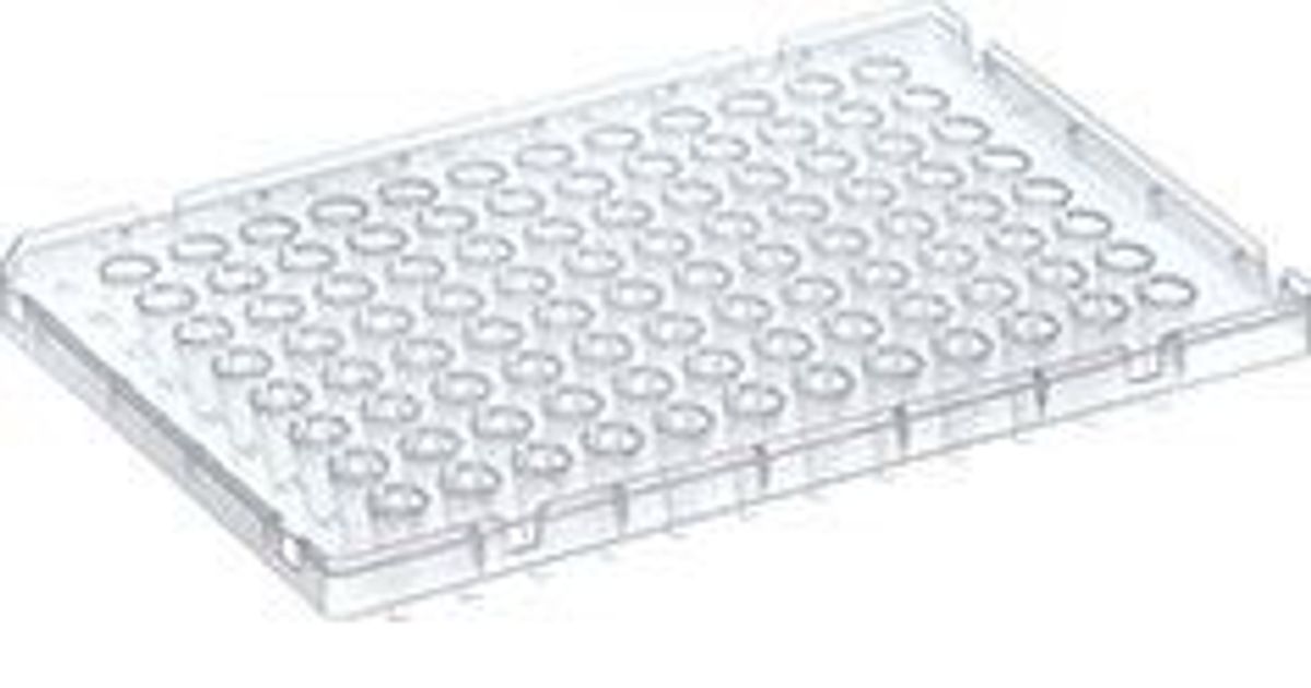 Thermo Scientific Fast Block PCR Plate