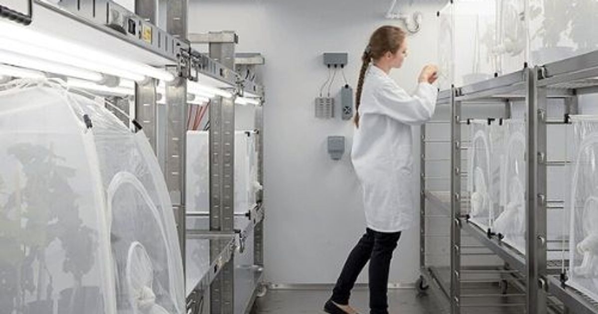 Fitotron® SGR Walk-In Climate Rooms for Plants and Insects | SelectScience