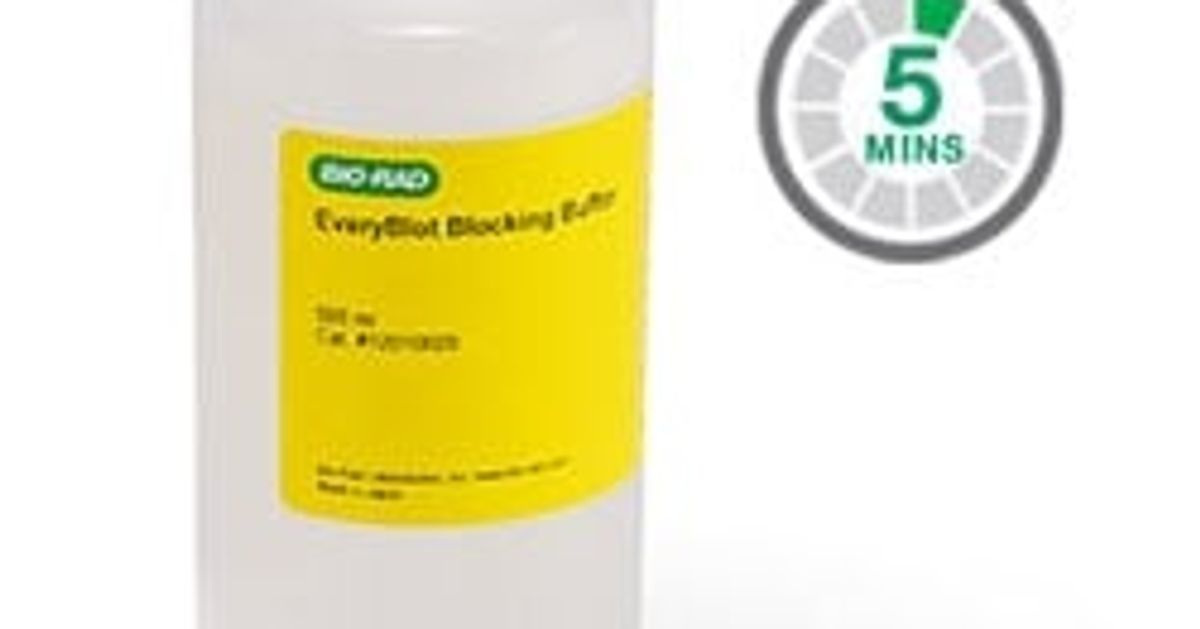 EveryBlot Blocking Buffer from Bio-Rad reviews