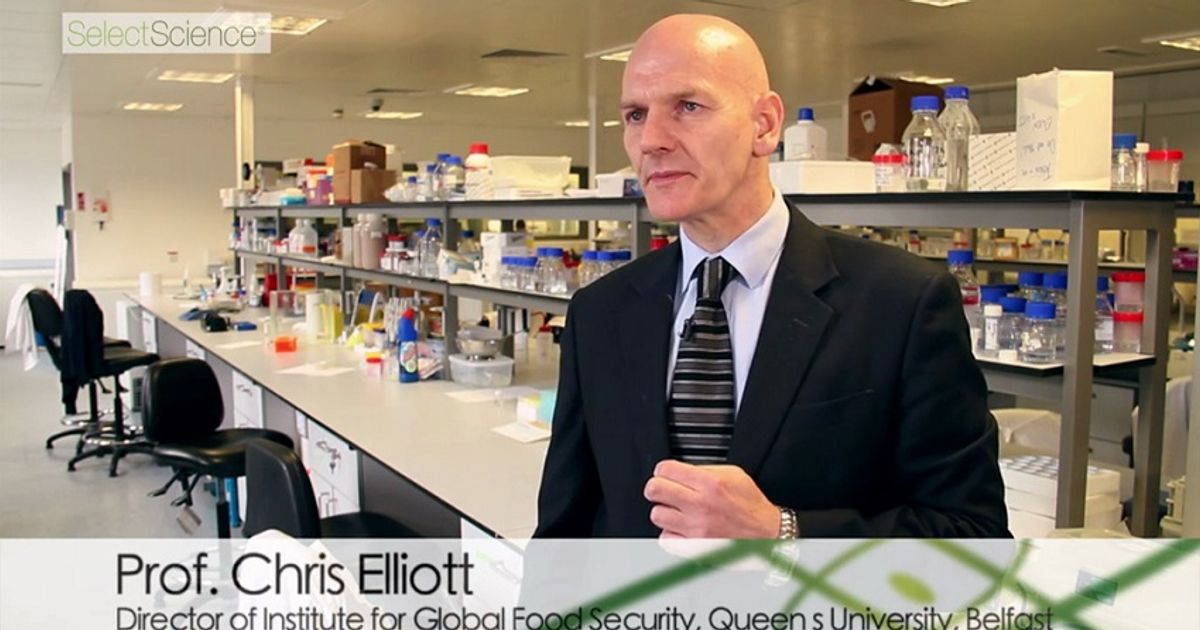 Spectroscopy as a Tool for Cheese Authenticity Verification