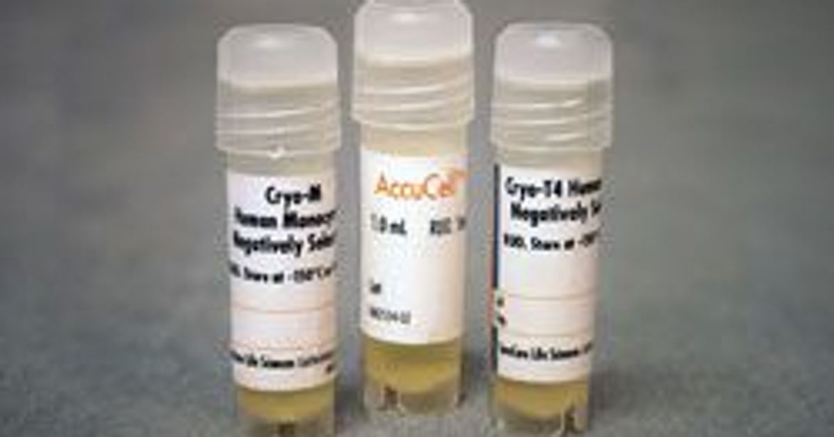 SeraCare Expands Cellular Line with Addition of Cryopreserved CD8+ T ...