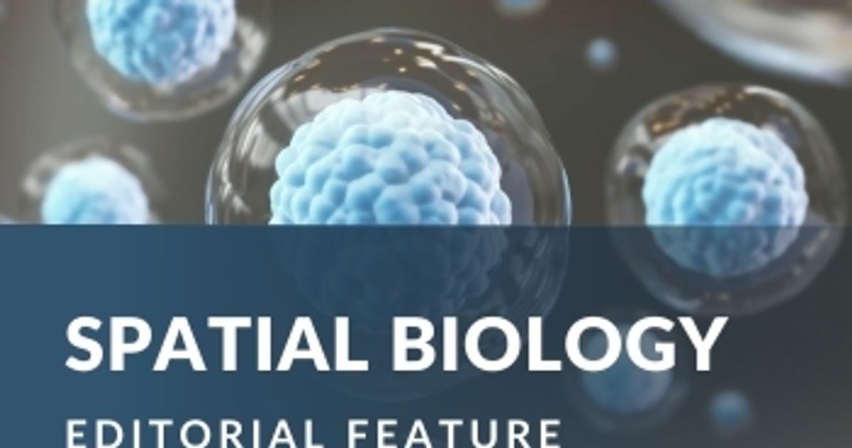 How to navigate the dynamic field of spatial biology