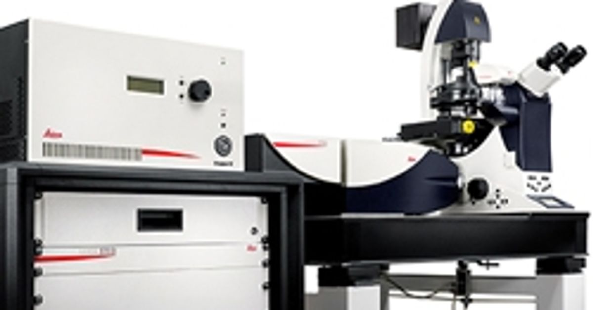 Fast and Direct 3D Super-Resolution with the Leica TCS SP8 STED 3X