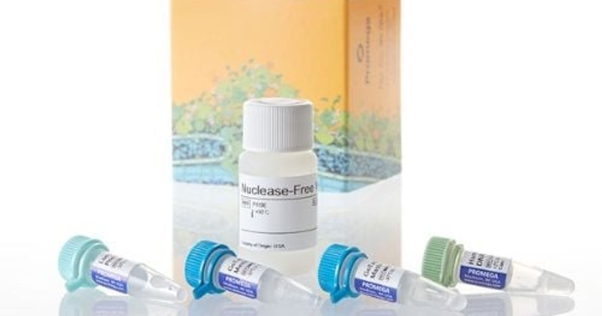 Buy GoTaq® Long PCR Master Mix Read Reviews