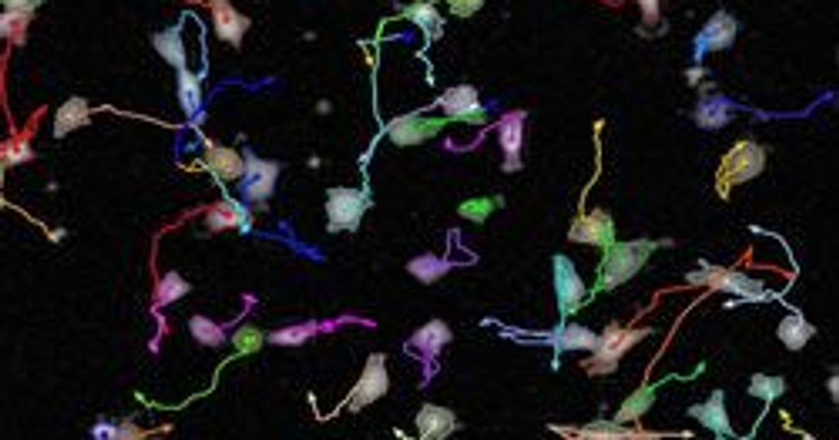 PerkinElmer Launches New Live Cell Capabilities for Operetta® High ...