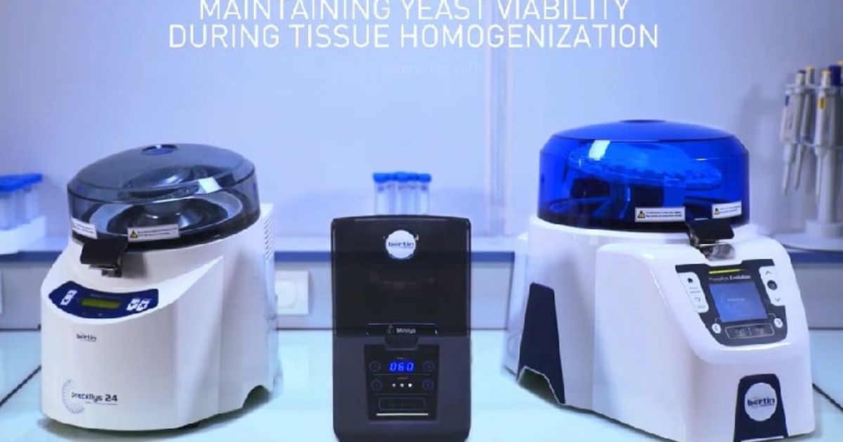 Maintaining Yeast Viability During Tissue Homogenization