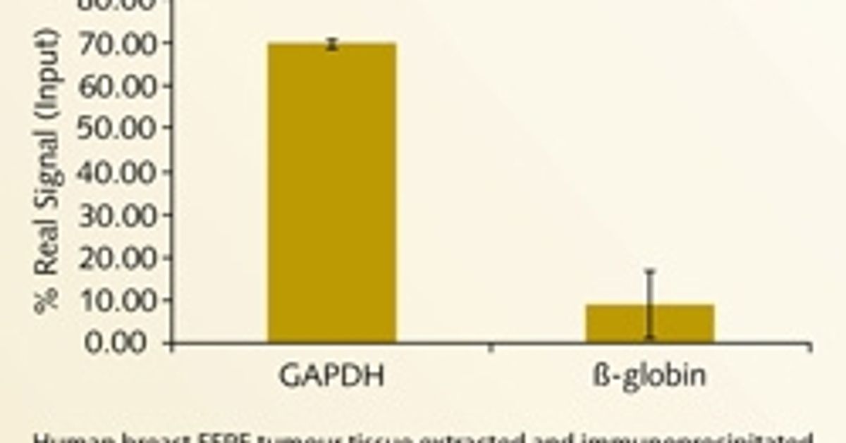 Highly Efficient ChIP Assay Kit for FFPE Samples