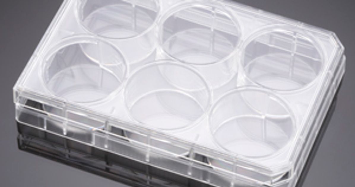 Falcon® 6-well TC-treated Polystyrene Permeable Support Companion Plate ...