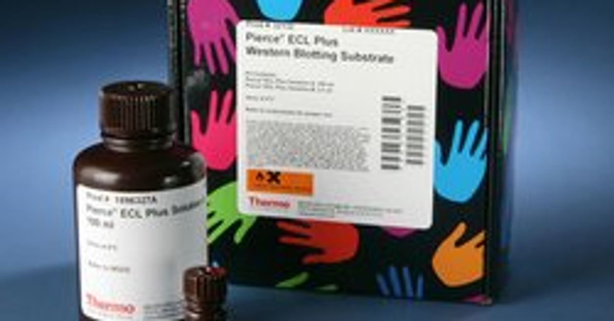 Thermo Scientific™ Pierce™ ECL Plus Western Blotting Substrate reviews