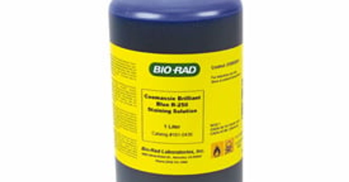 Buy Coomassie Brilliant Blue R-250 Staining Solutions Kit Read Reviews
