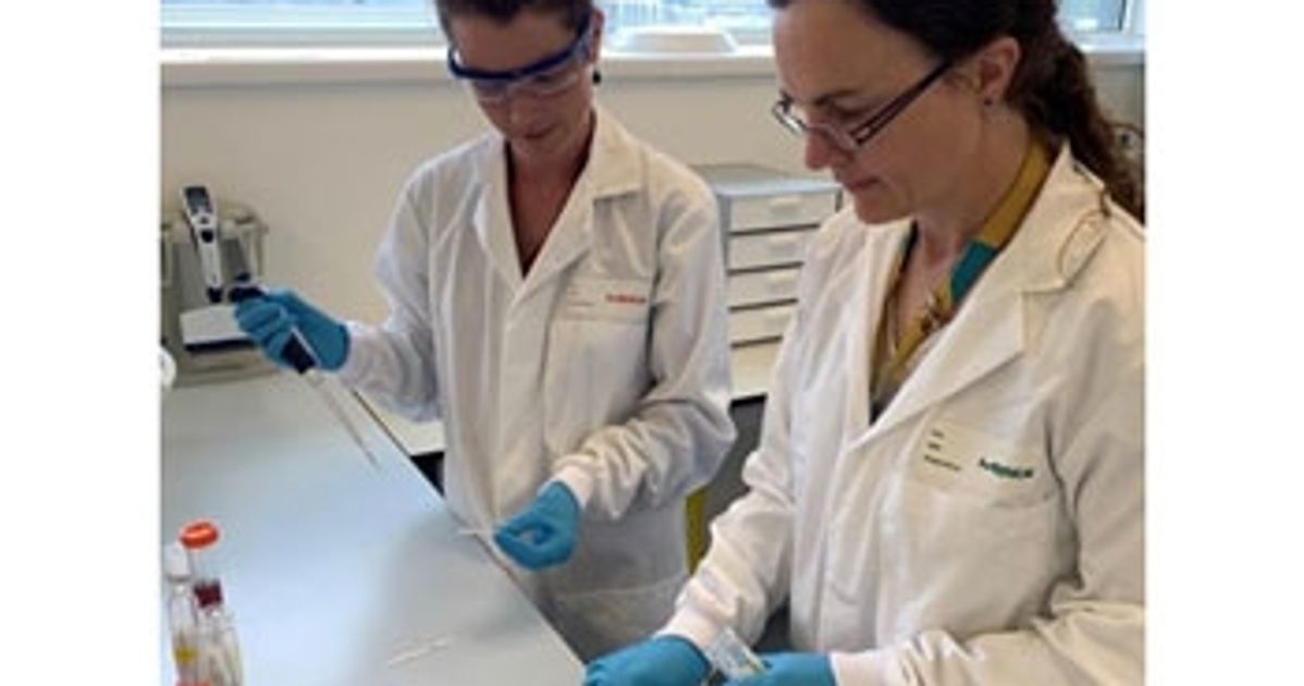 COVID-19 testing using lateral flow assays: sensitive, rapid, easy to ...