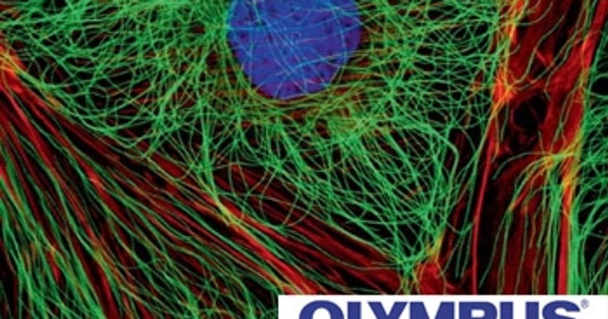 Olympus Launches Revolutionary Next-Generation X Line Objectives