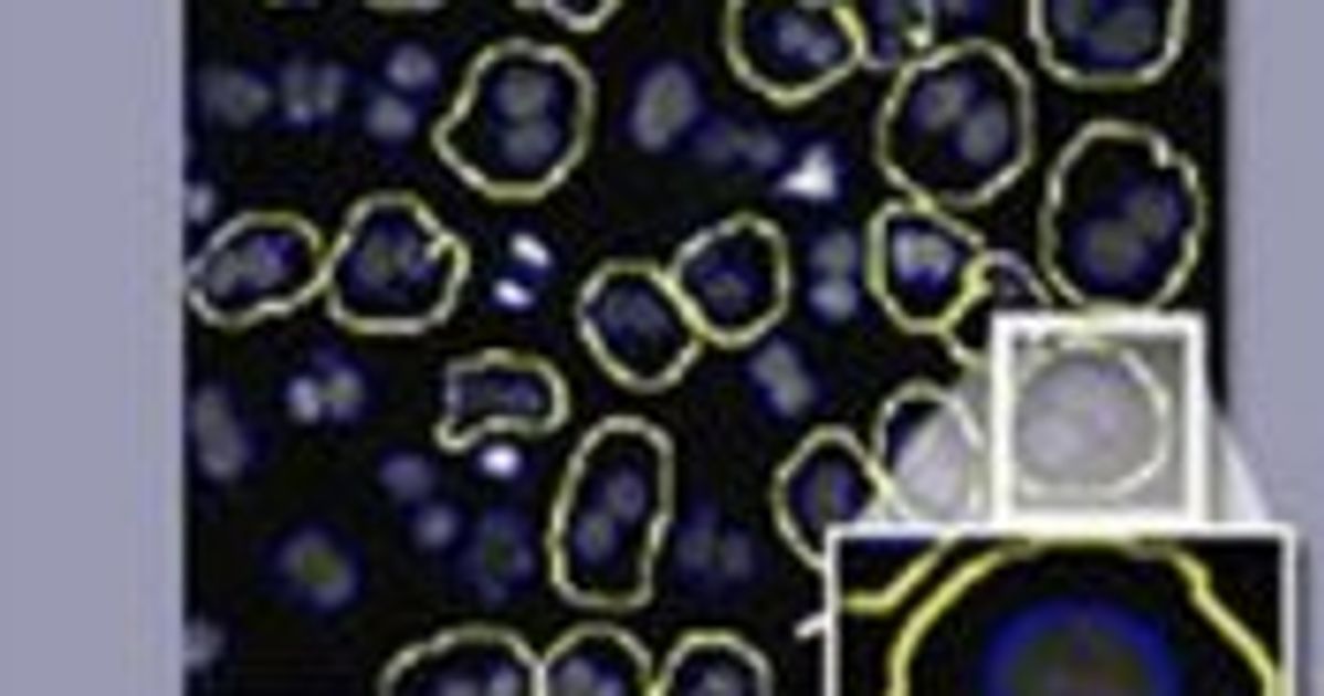 HitKit® HCS Reagent Kit for Micronucleus