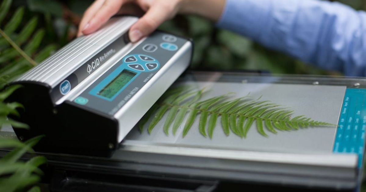 Buy CI-202 Portable Laser Leaf Area Meter Read Reviews