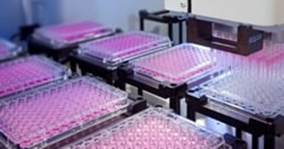 5 Top Tips for the Perfect High-Throughput Screening Lab
