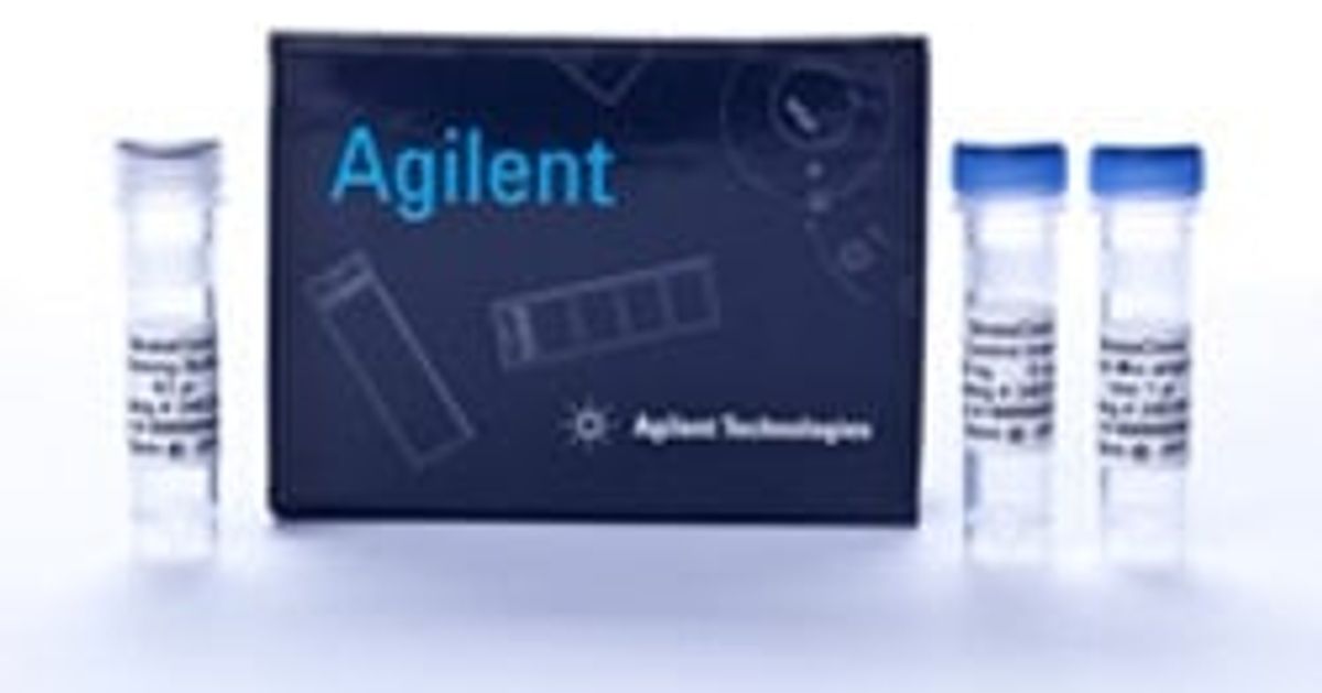 StrataClone Ultra Blunt PCR Cloning Kit