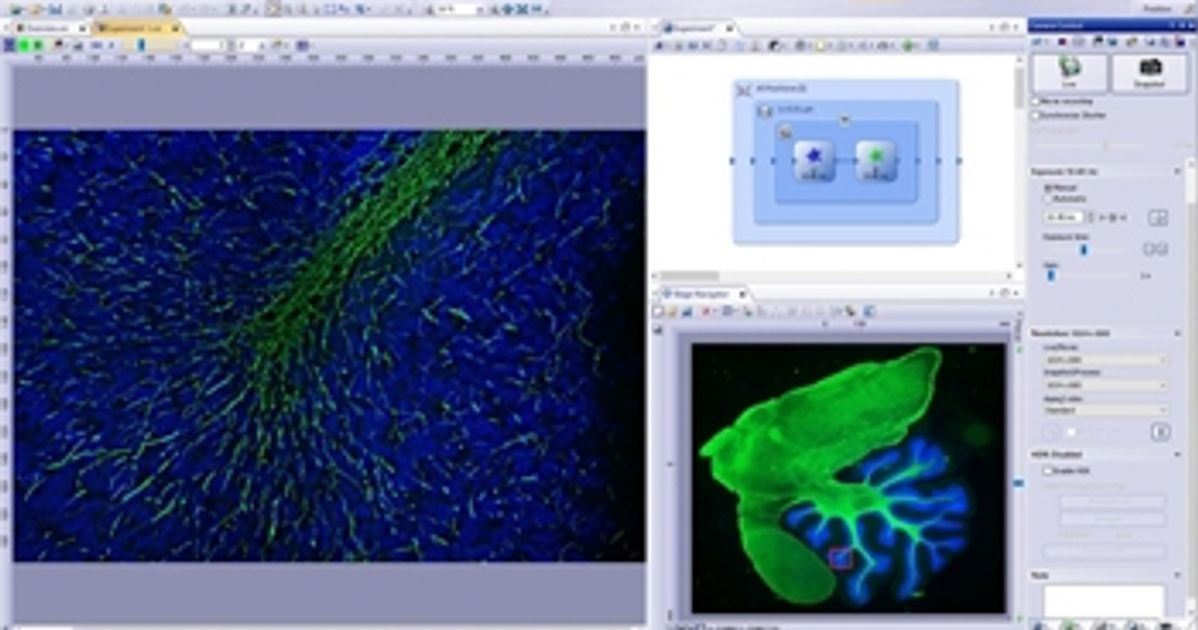 Next-generation microscopy image analysis with deep-learning technology