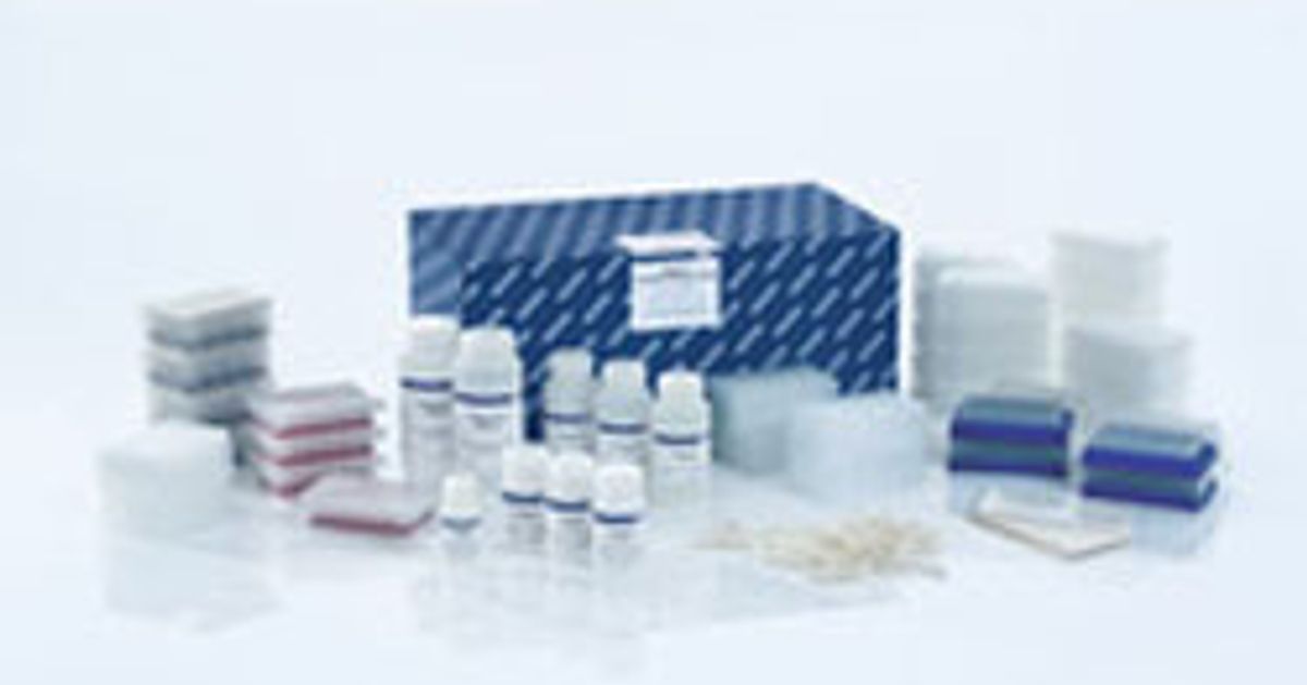 DNeasy PowerSoil HTP 96 Kit (384)