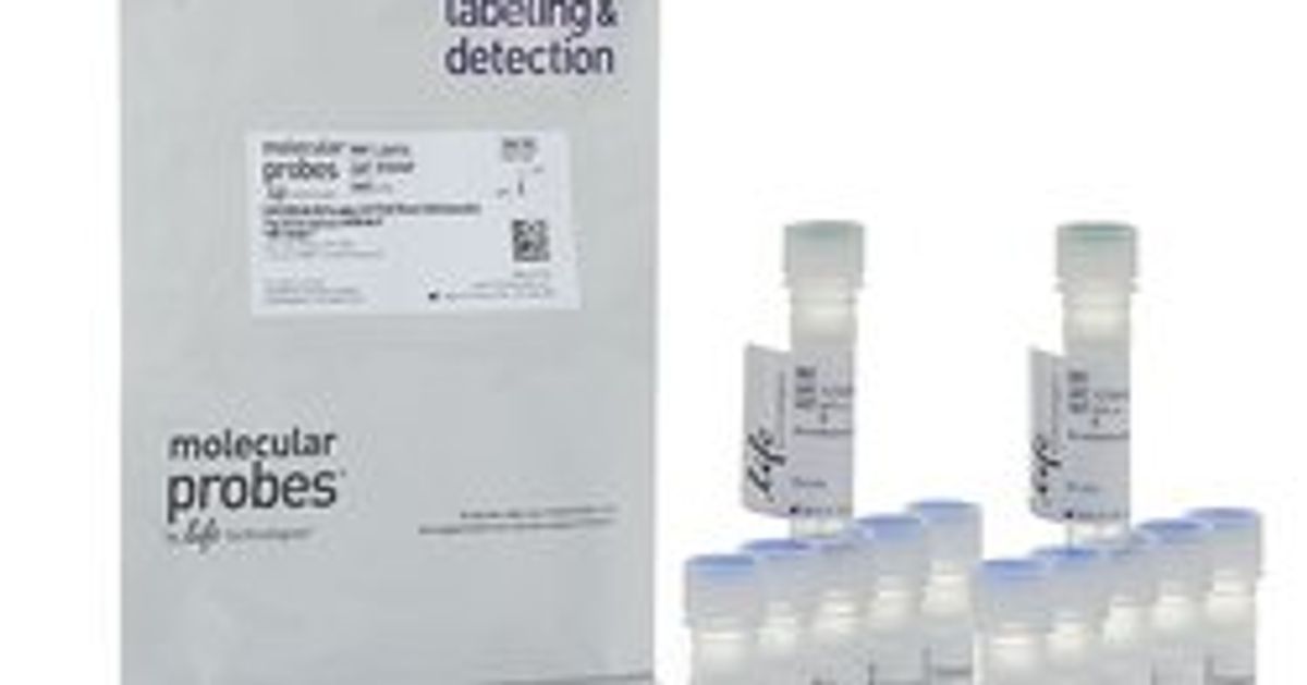 Buy Invitrogen™ LIVE/DEAD™ Fixable Far Red Dead Cell Stain Kit Read Reviews