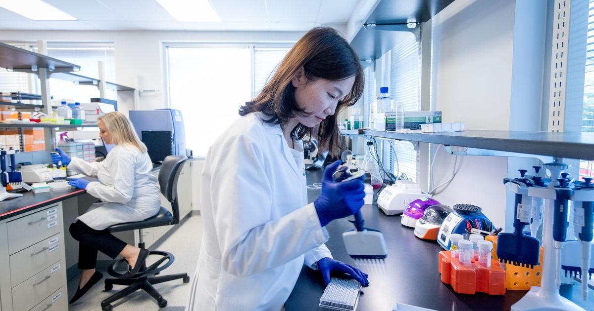 Proteomic Biomarker Discovery and Quantitation Services