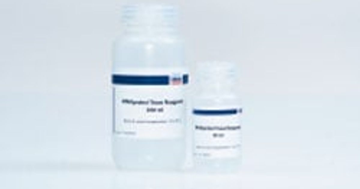 RNAprotect Cell Reagent (250 ml)