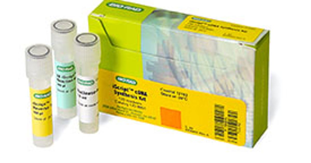 Buy iScript™ cDNA Synthesis Kit, 25 x 20 µl rxns Read Reviews