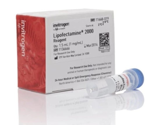 Invitrogen™ Lipofectamine® 2000 | SelectScience