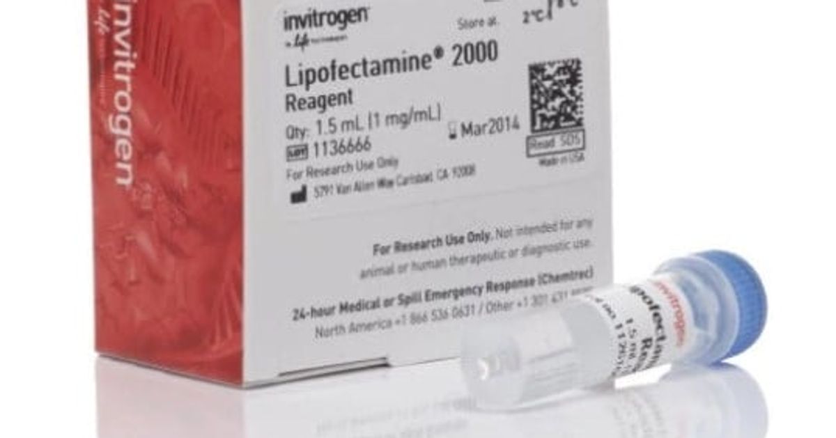 Invitrogen™ Lipofectamine® 2000 | SelectScience