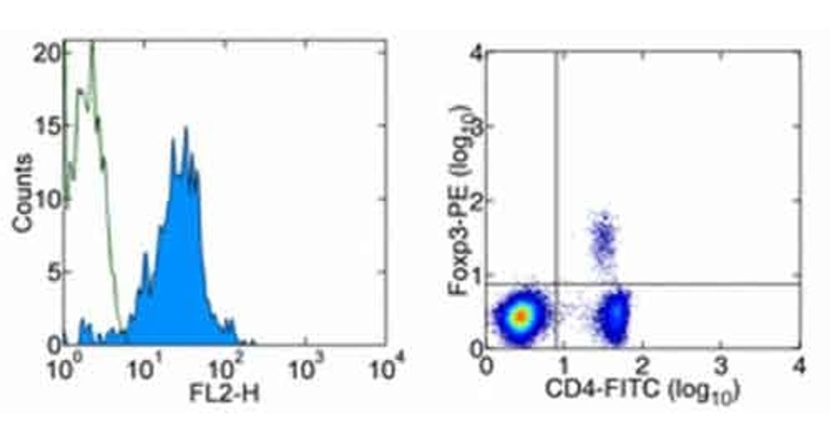 Invitrogen™ Anti-Mouse/Rat Foxp3 PE Staining Set FJK-16s