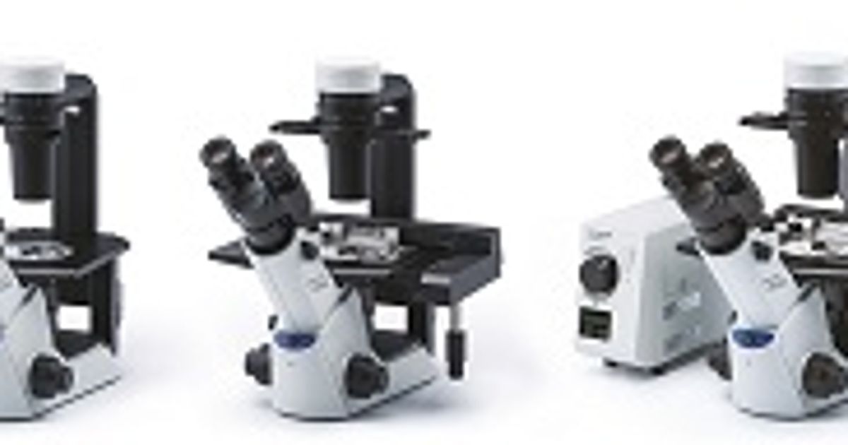 Advancing Cell Cultivation with the Olympus CKX53 Microscope
