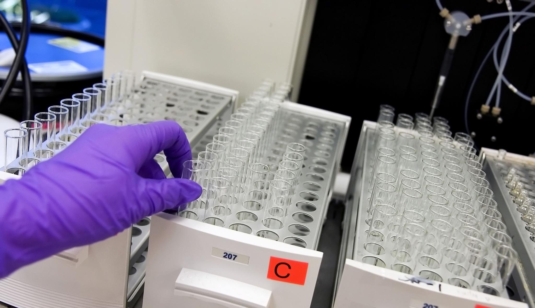 ACQUITY UPLC® BEH C18 and C8 Columns