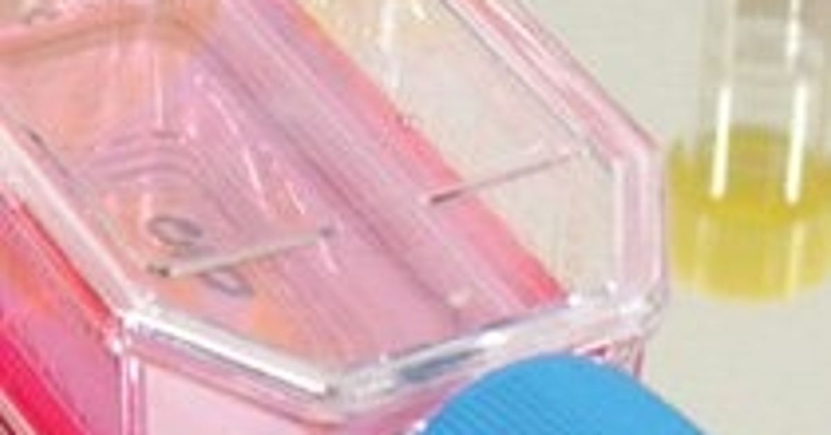 Cell & Tissue Culture Products reviews