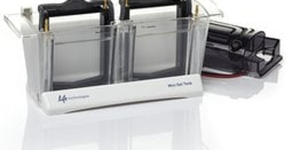 Buy Invitrogen™ Mini Gel Tank Read Reviews