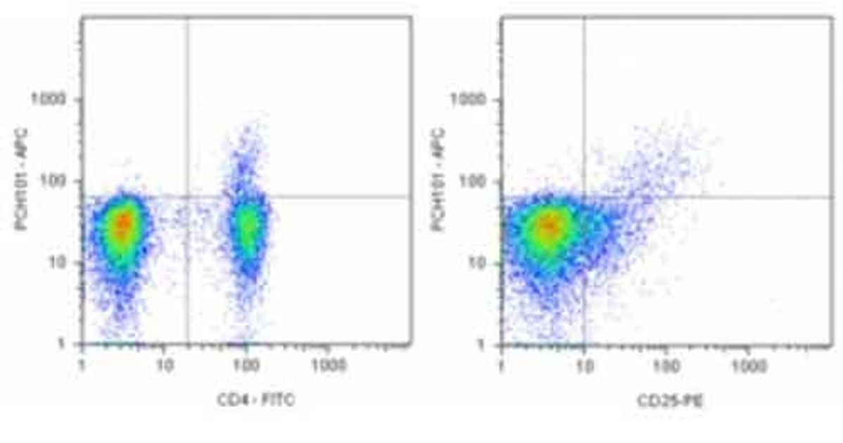 Invitrogen™ Anti-Human Foxp3 APC Staining Set