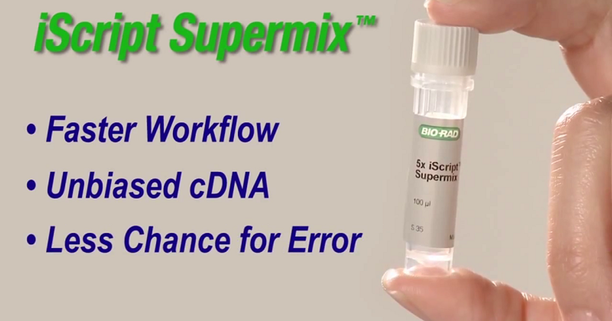 Bio-Rad® iScript™ Supermix vs. Brand X